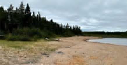 Howley Real Estate - Howley NL Homes For Sale | St. John's area Real ...