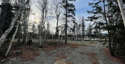 Badger Real Estate - Badger NL Homes For Sale | St. John's area Real ...